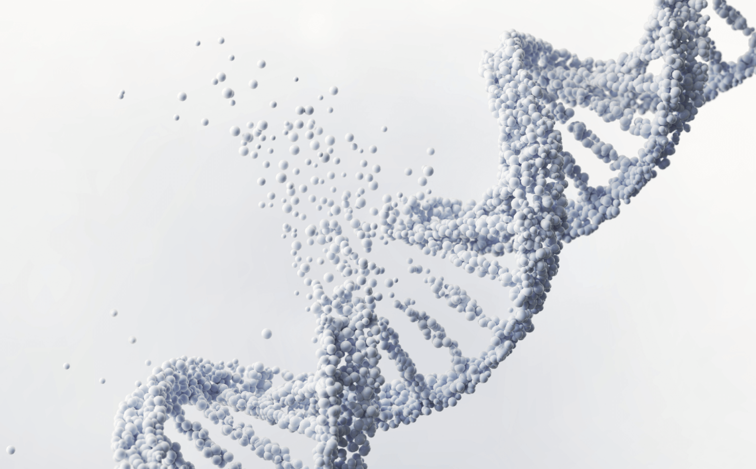 What we do - Sirius International Holding