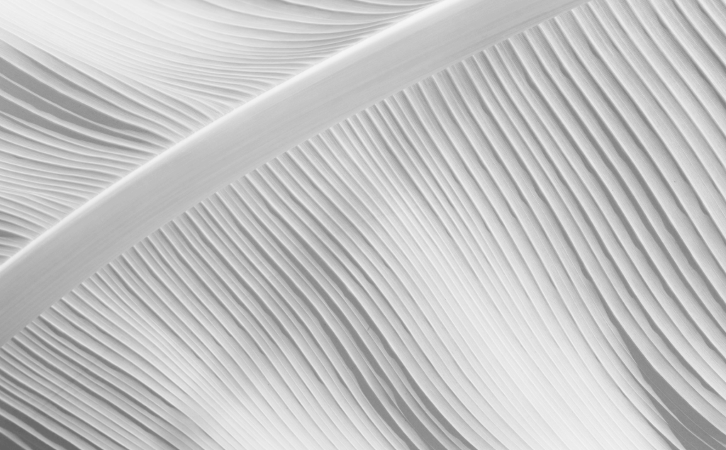 What we do - Sirius International Holding